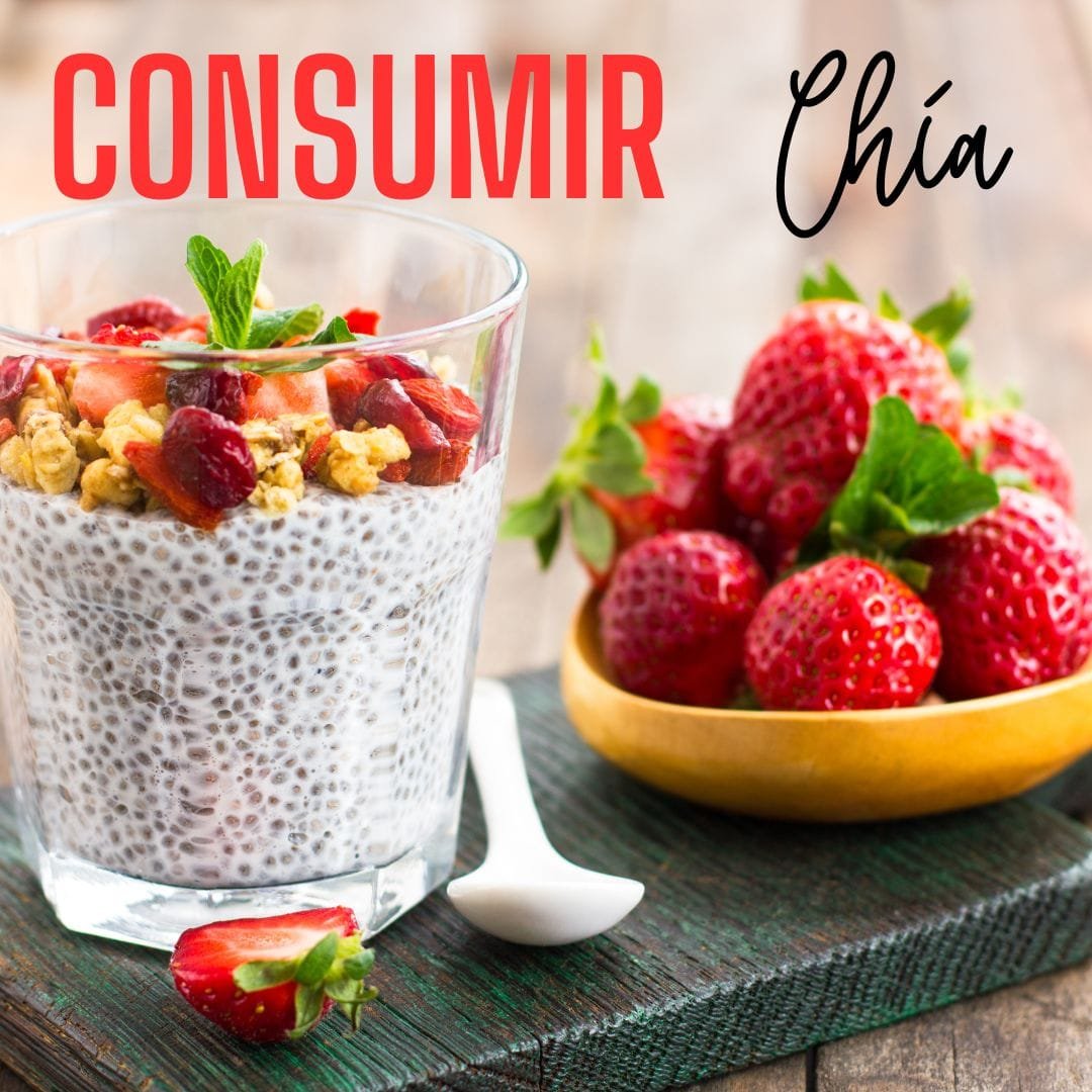 7 Beneficios Sorprendentes de la Chía en Ayunas y Cómo Integrarla en Tu ...